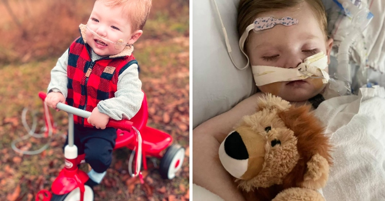 Selfless Donor's "Hero Heart" Gives Sick 2-Yr-Old 2nd Chance At Life ...