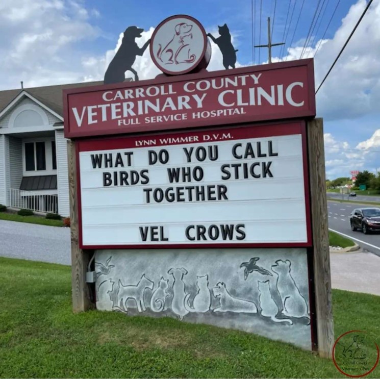 15 Times This Vet Clinic Sign Said What Every Pet Parent Was Thinking ...