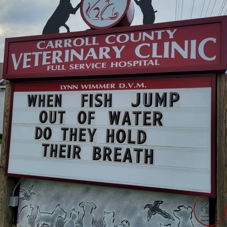 15 Times This Vet Clinic Sign Said What Every Pet Parent Was Thinking ...