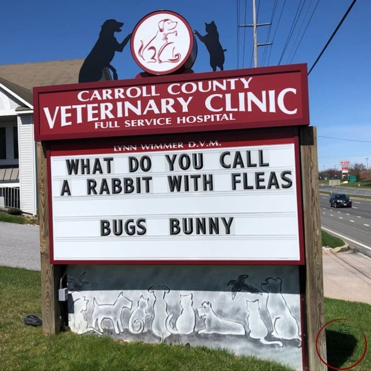 15 Times This Vet Clinic Sign Said What Every Pet Parent Was Thinking ...