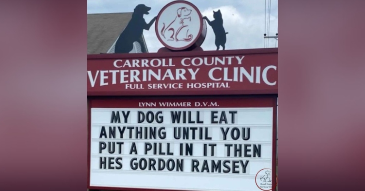 15 Times This Vet Clinic Sign Said What Every Pet Parent Was Thinking ...