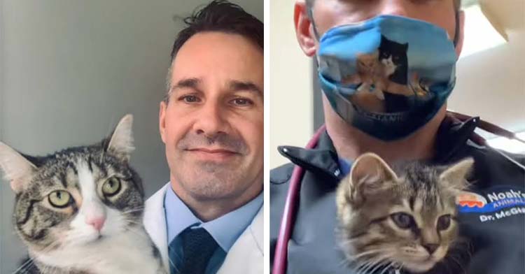 Veterinarian Records The Best Parts Of His Day And We Can't Handle The ...