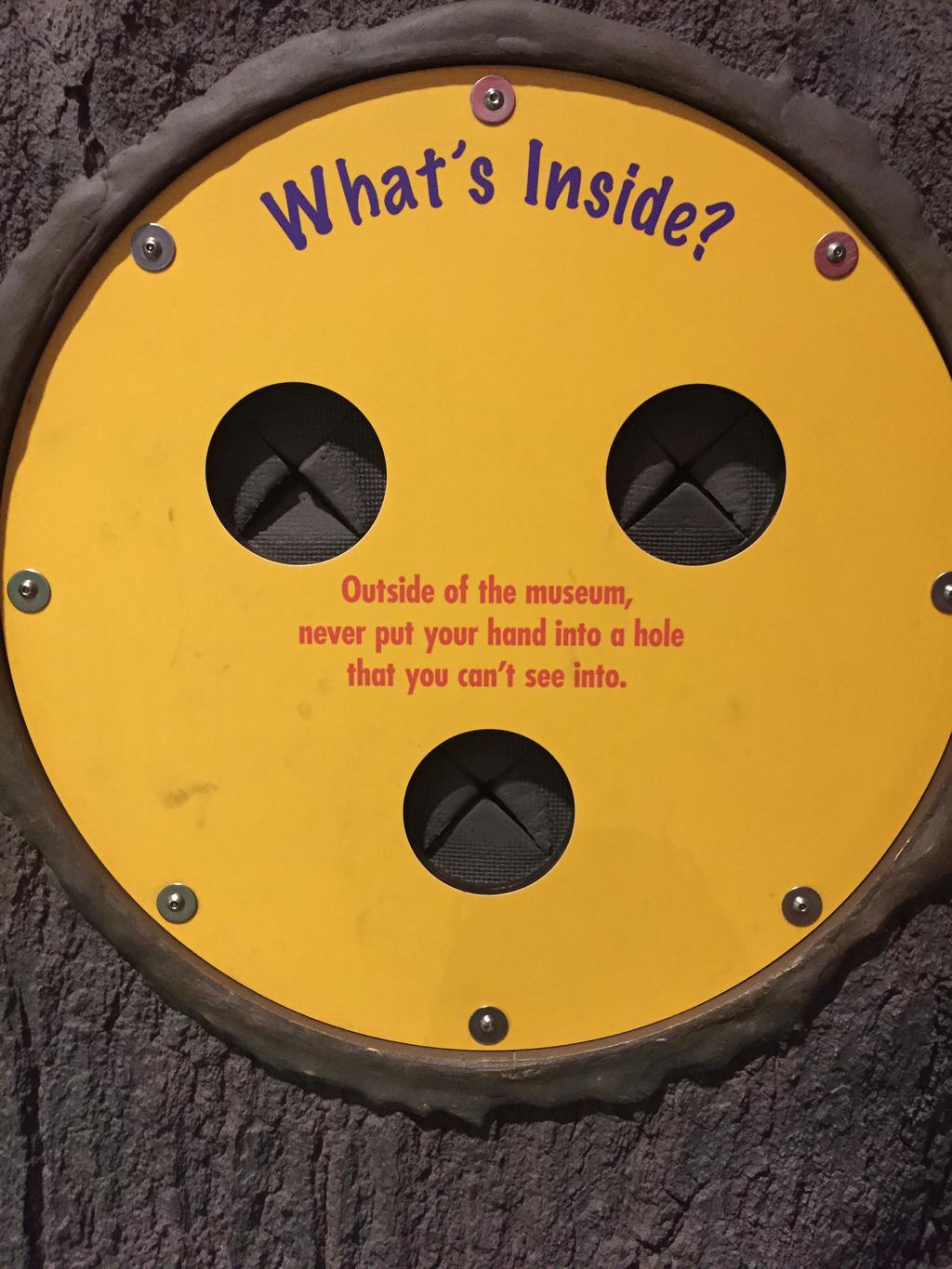 15 Trips To The Museum That Got Hilariously Out Of Hand – InspireMore