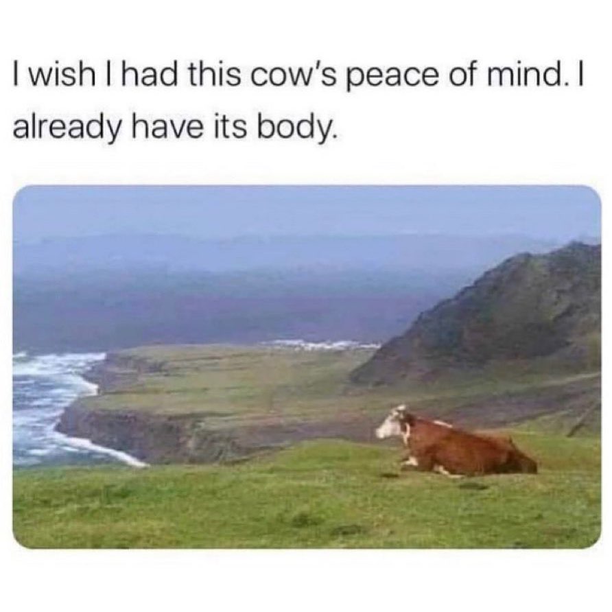 Like We'd Laugh At These 15 Sarcastic Memes. As If. – InspireMore