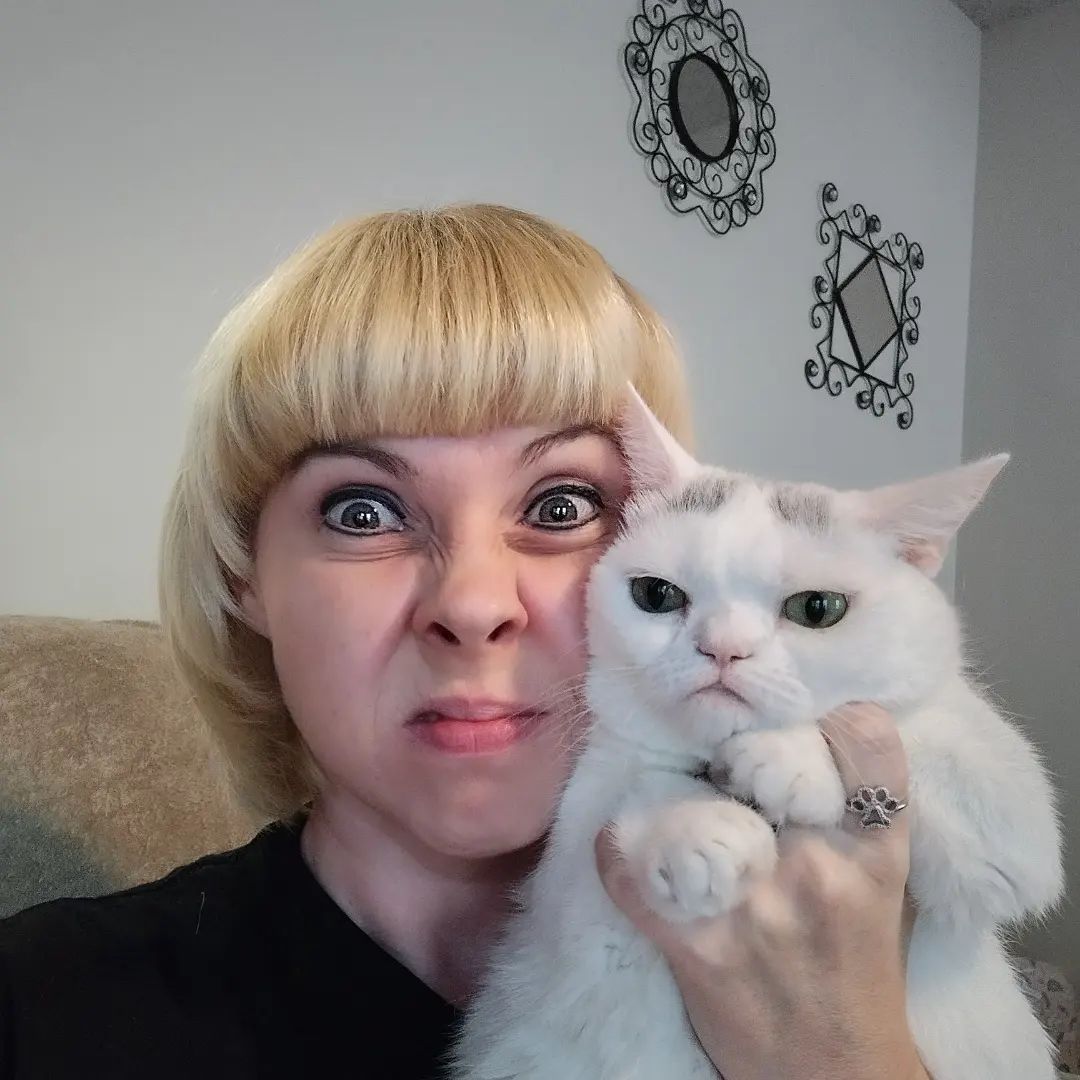 This Dwarf Cat With A Permanent Frown Is Filling The Grumpy Cat Void ...