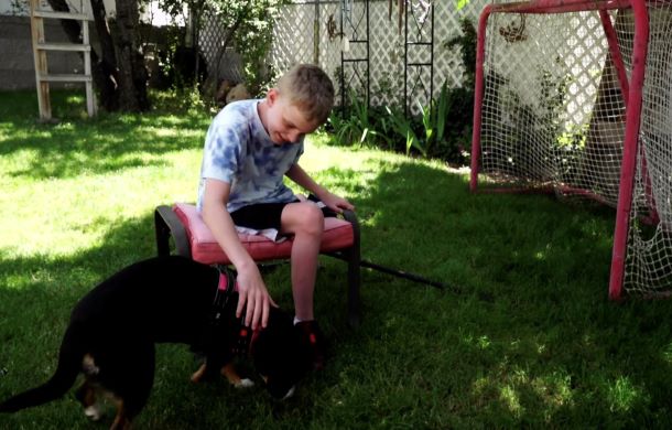 Just Like Me: 3-Legged Dog Gives Hope to Boy With Rare Genetic Disorder ...