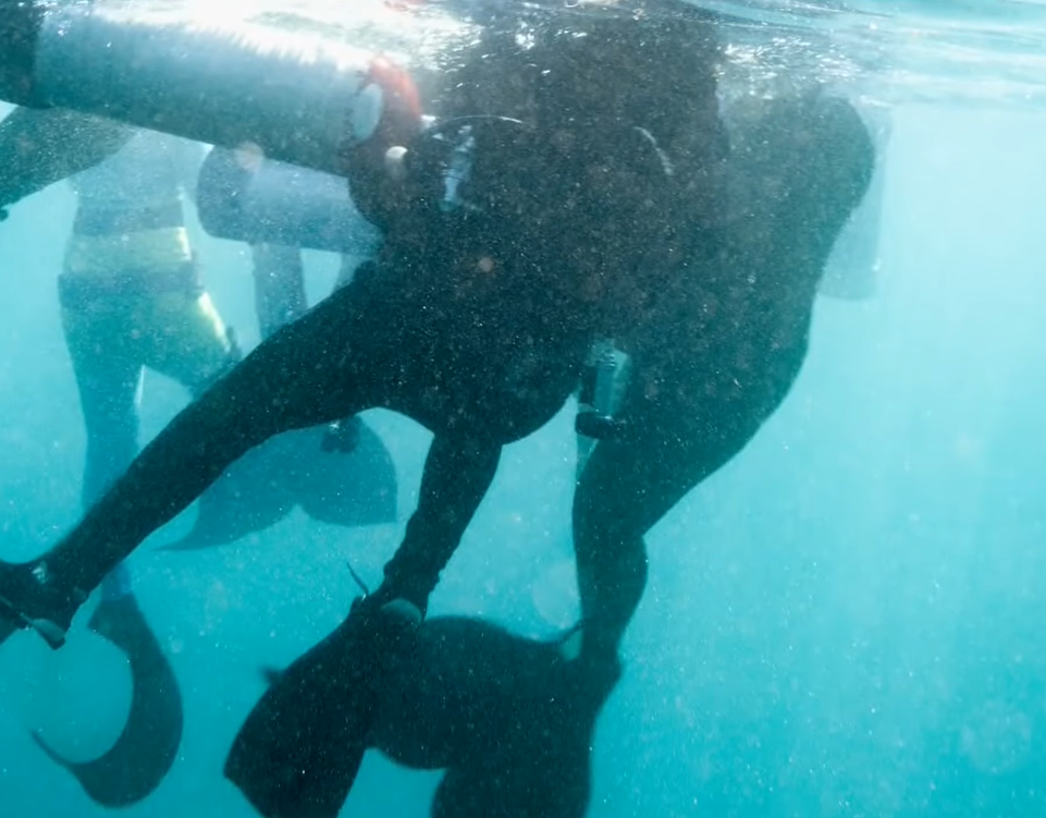 Diver Rescued At Sea By 3 Mermaids "Like Something Out Of A Fairy Tale ...