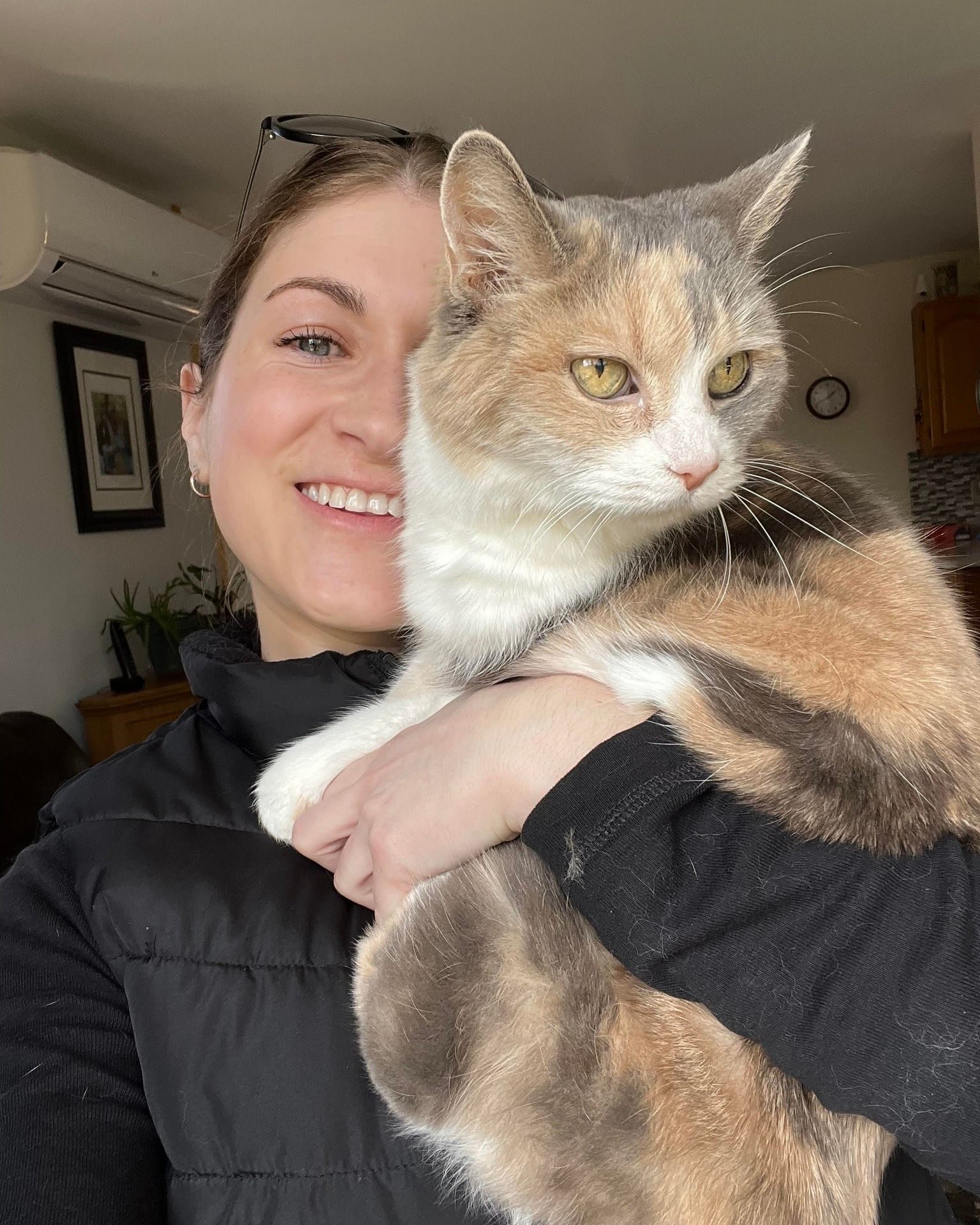 Cat Mom Makes It Her Mission To Help Dying Seniors Rehome Their Pets ...