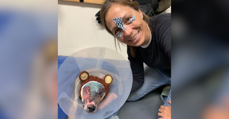 Severely Burned Dog Receives Peculiar, Yet Highly Successful ...