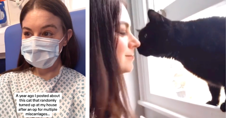 After Multiple Miscarriages, Angel Kitty Appears At Woman's Door — And ...