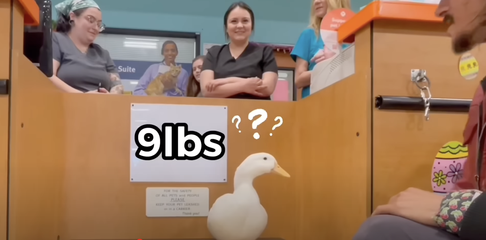 Join Wrinkle The Duck As She Waddles Around In the Cutest Shopping Spree.