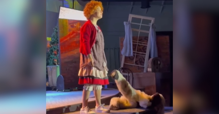 Little "Annie" Actor Falls Off The Stage — But Adorably Doesn't Miss A ...
