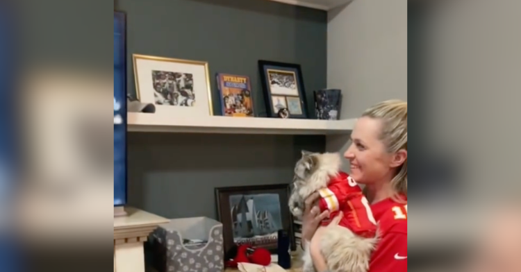 Chipmunk The "Mayo Cat" Watches His Super Bowl Commercial With His Mom ...