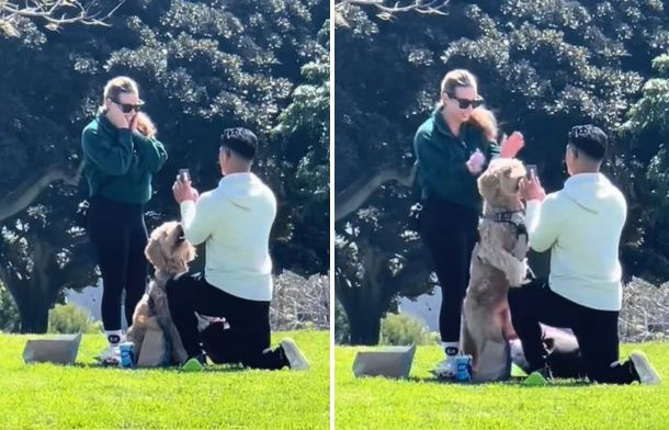 Dog Sees Dad On 1 Knee And Thinks It's A Proposal — For Her! – InspireMore