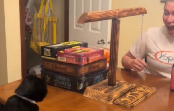 Woman Frantically Attempts Ring Toss Before Skilled Kitty Ends Game In ...