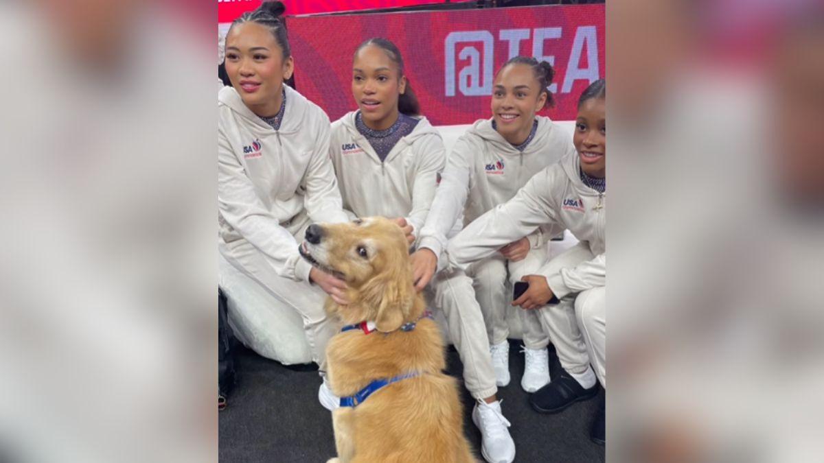 Beacon The Golden Retriever Had A Job At The U.S. Olympic Trials