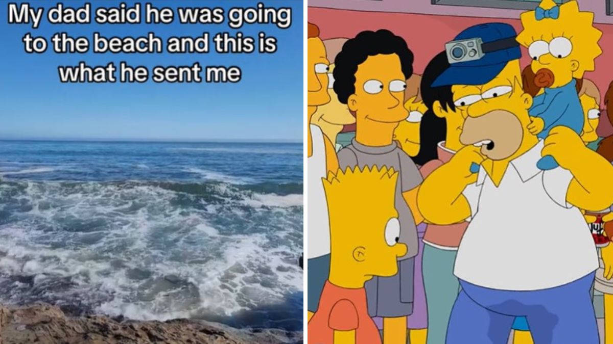 Dad's Video At The Beach Has People Calling Him Homer Simpson – InspireMore