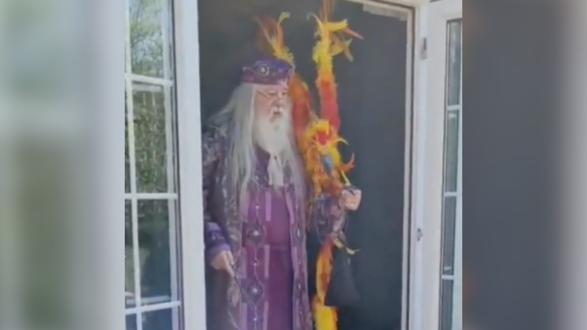 The Magical Moment "Dumbledore Came To Visit" Kids' Party – InspireMore