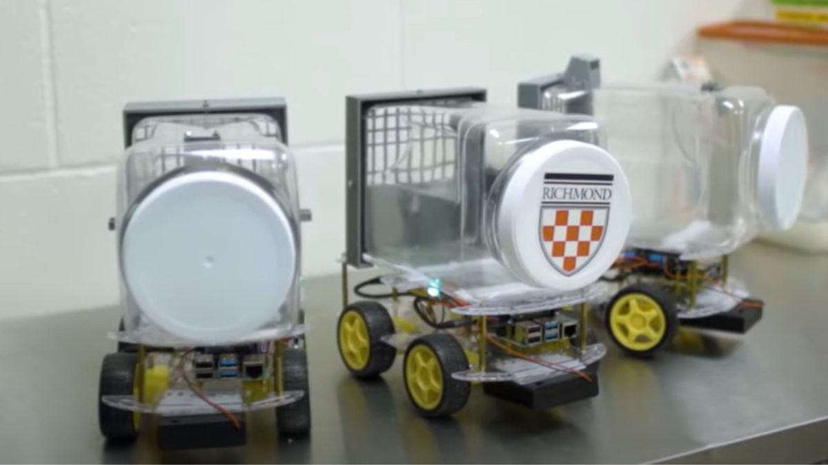 Incredible: Rats Learn To Drive Tiny Cars In Astounding Clip – InspireMore
