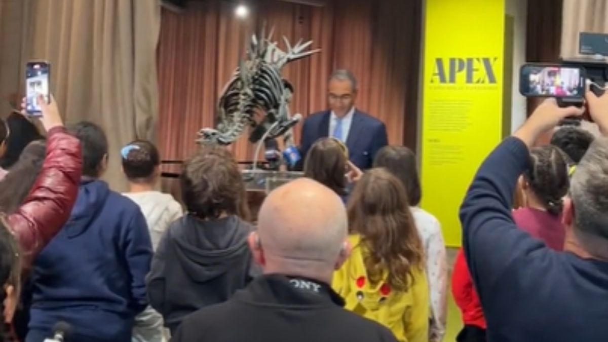 American Museum Of Natural History Unveils Prehistoric Exhibit ...