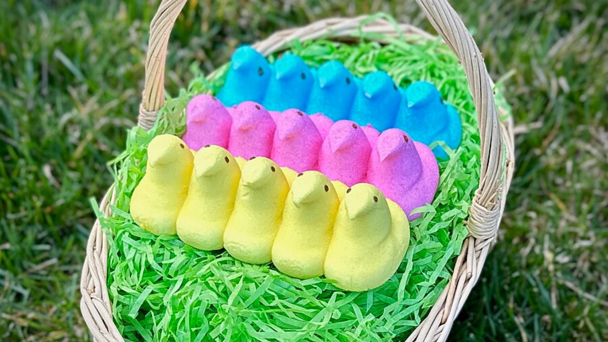 I Hate Peeps... But Their New 2025 Lineup Has Me Intrigued – InspireMore