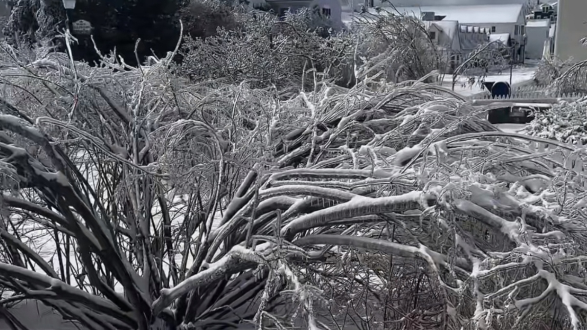 Huge Ice Storm Creates Beautiful But Eerie Wonderland