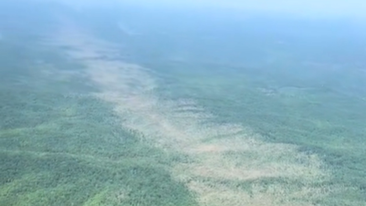Mind-Blowing Clip Shows Bird's-Eye View Of Massive Tornado Path ...