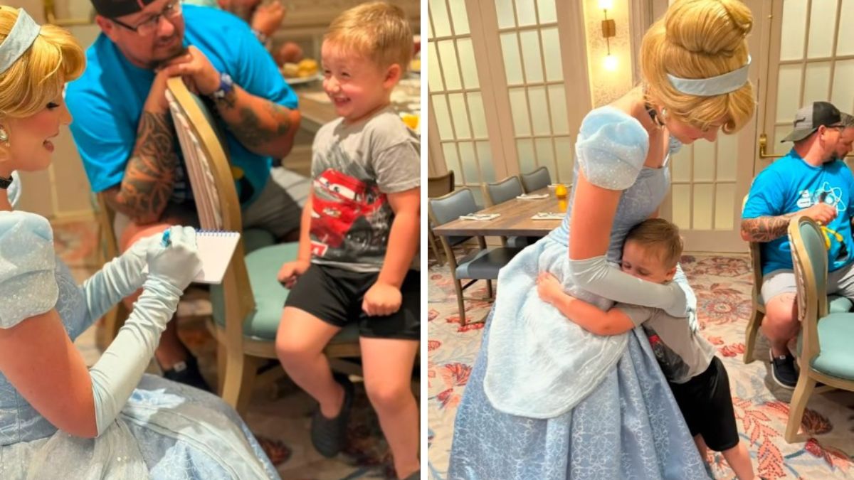 Boy Can't Hide Excitement Meeting Cinderella At Disney World – InspireMore