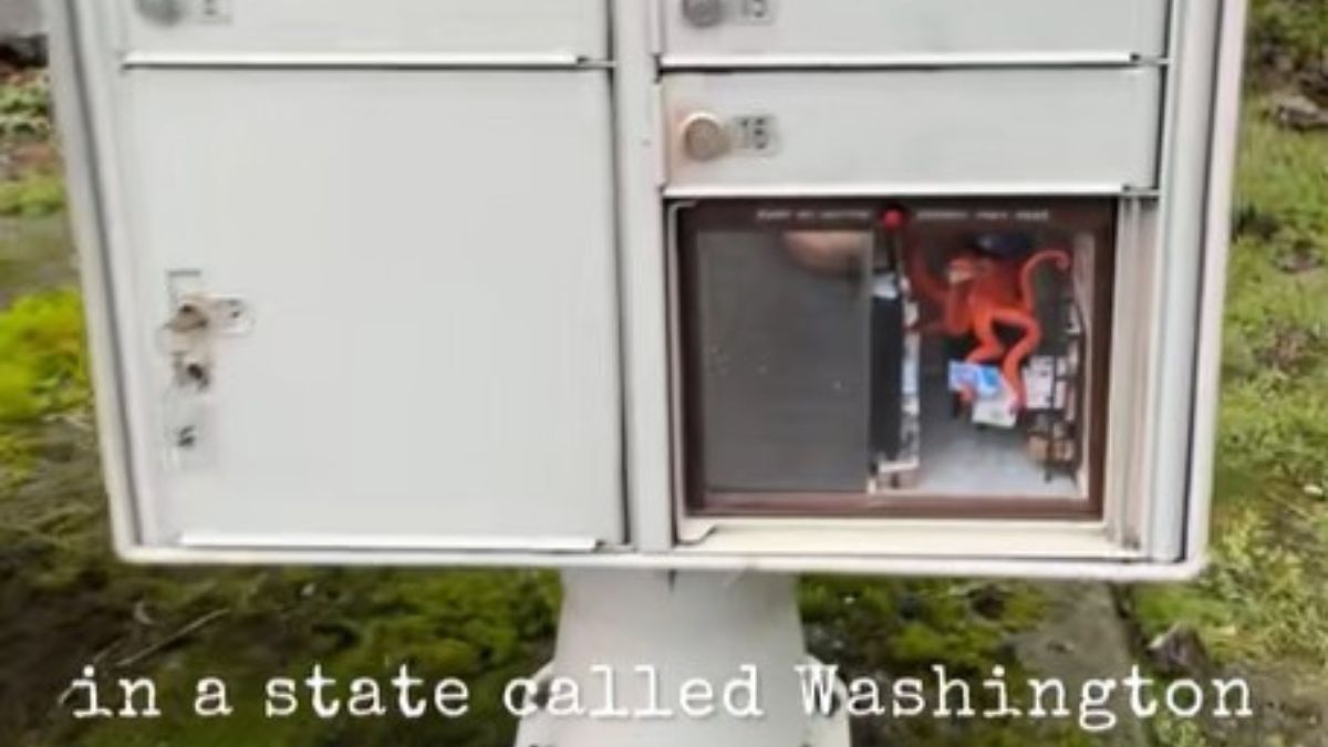 You’ll Truly Never Guess What’s Hidden Inside This Mailbox – InspireMore