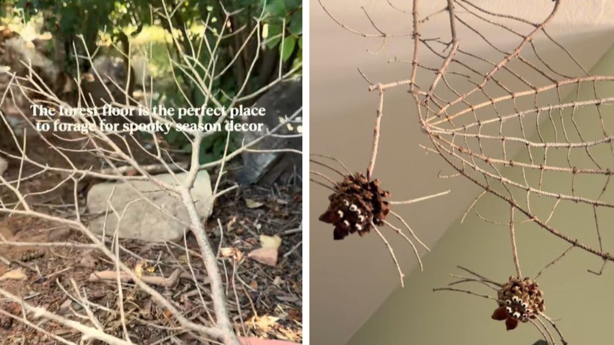 Using Natural Finds From Forest To Make “Spooky Season” Decor – InspireMore