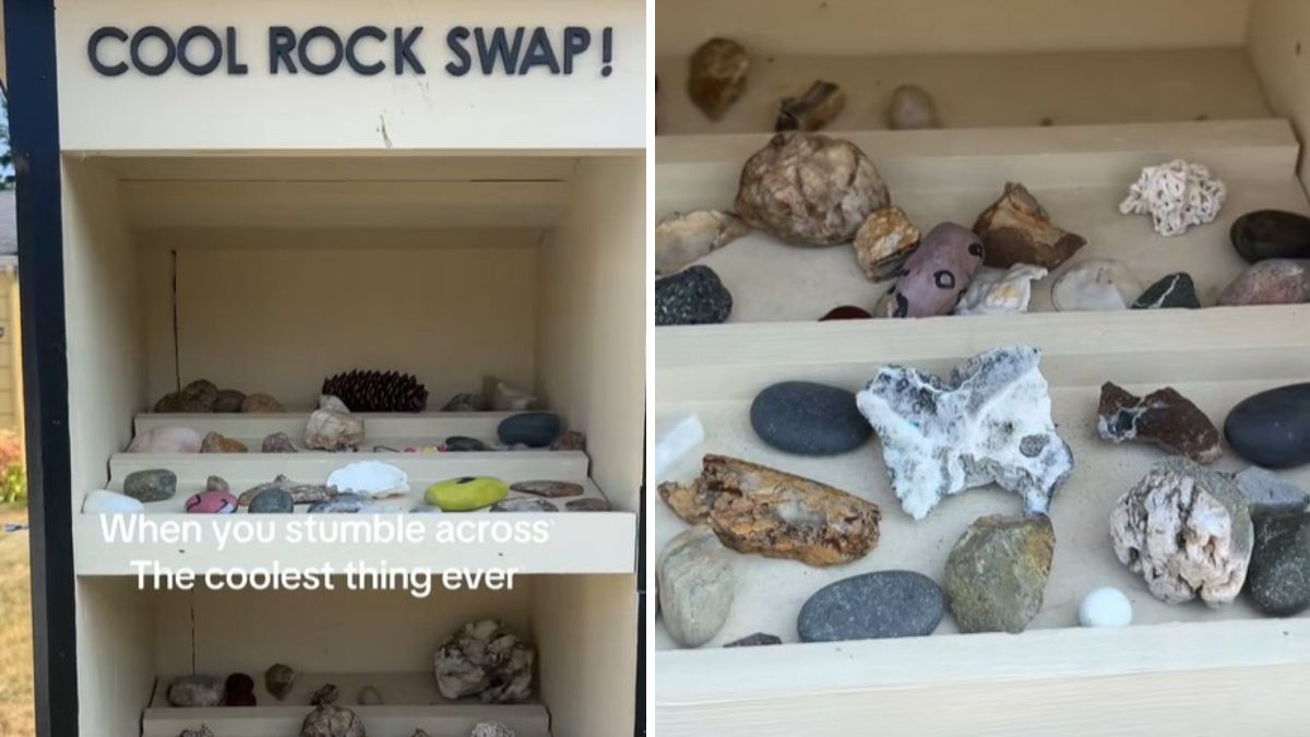 Move Over “Little Free Library,” Here Comes The Cool Rock Swap ...