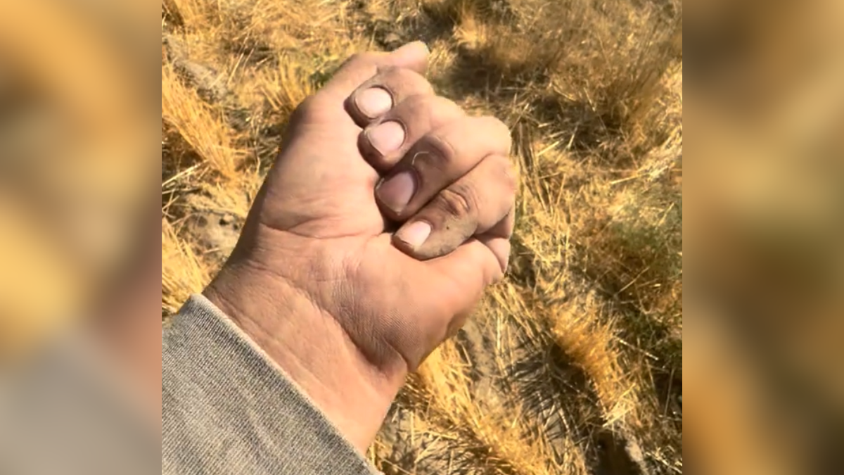 Farmer Shares Adorable Tiny Creature He Found In His Fields – InspireMore