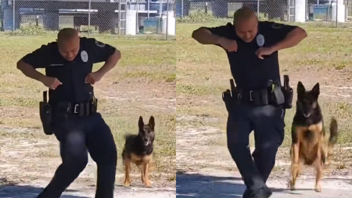 Police Officer and Canine Companion Pull Off Amazing Dance